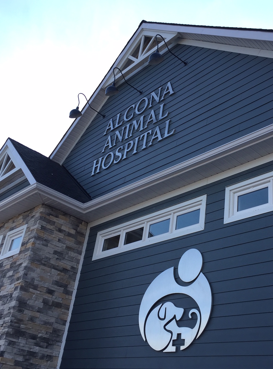 Custom Business Outdoor & Indoor Signs Barrie, ON | SignEdge
